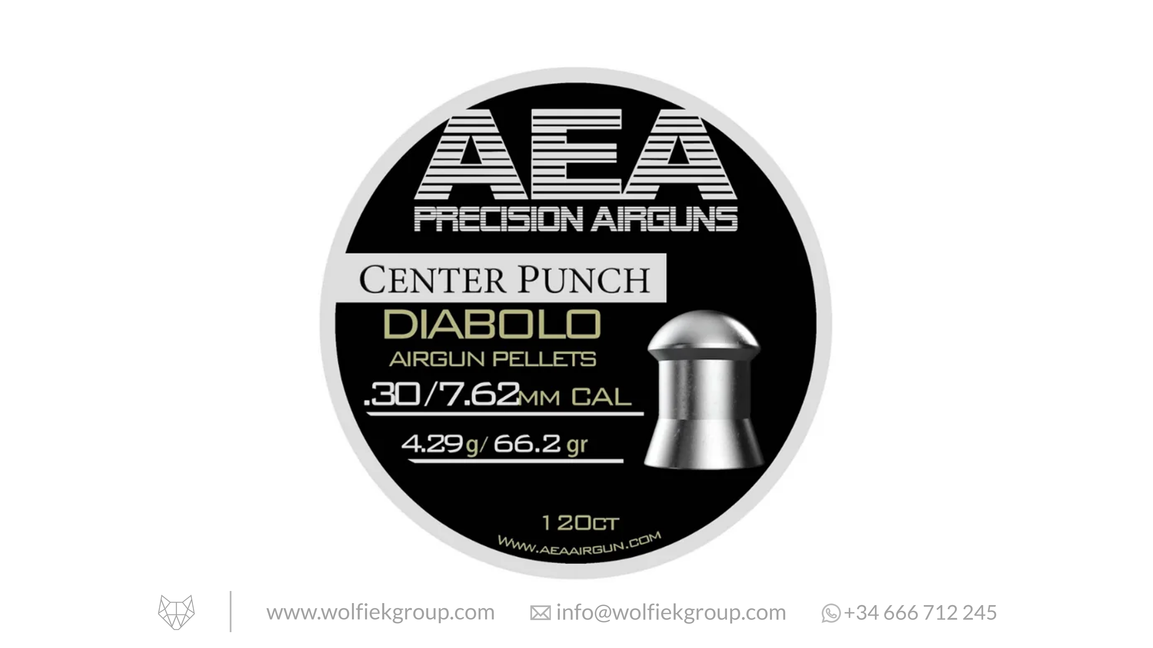AEA Master Box Hollow Point Slugs - Cal .30 (66.2g) | Huben